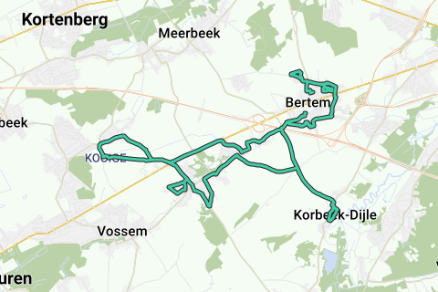 Tractorlichtparade Bertem - 2021 (19 december) - Oldtimerroute | RouteYou