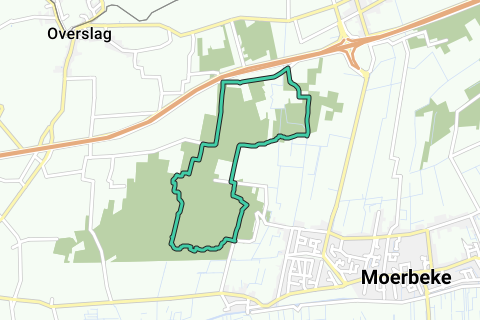 Moerbeke - heidebos - Wandelroute | RouteYou