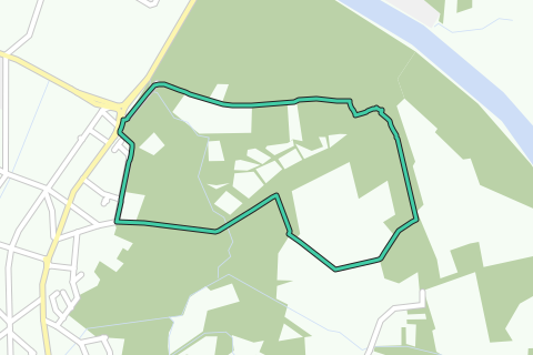 Munsterbos - blue - 4.8 km - Recreational walking route | RouteYou