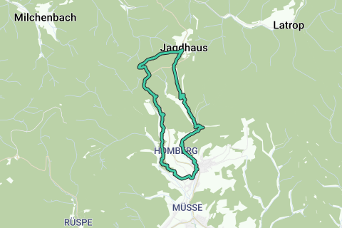 Rothaarsteig-Spur Wisent-Pfad - Itinerario per trekking | RouteYou