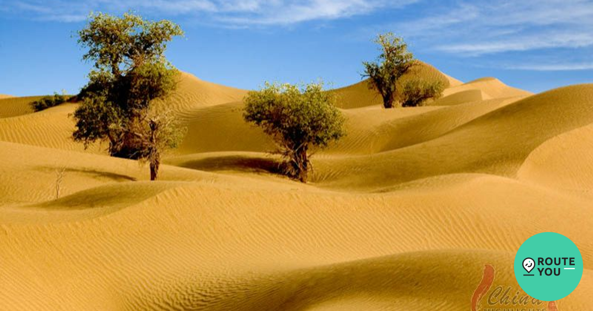 Taklamakan woestijn - Natuurgebied | RouteYou