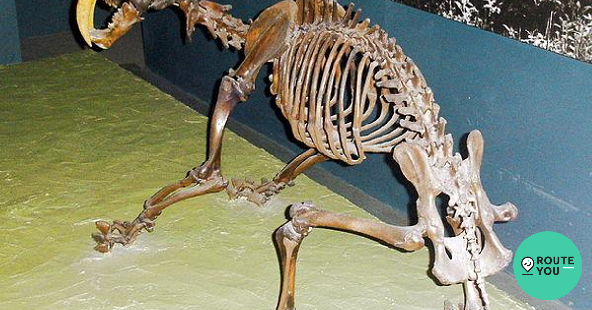 Cumberland Bone Cave - Cave | RouteYou