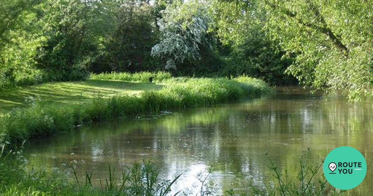 River Loddon - River | RouteYou