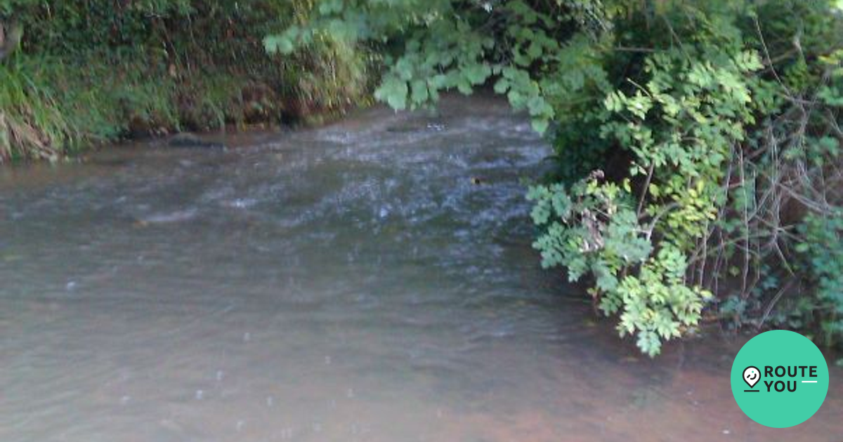 Cadoxton River - River | RouteYou