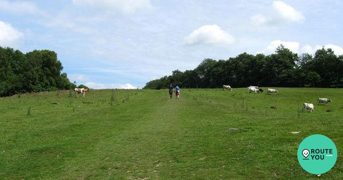 Senlac Hill - Mountain | RouteYou