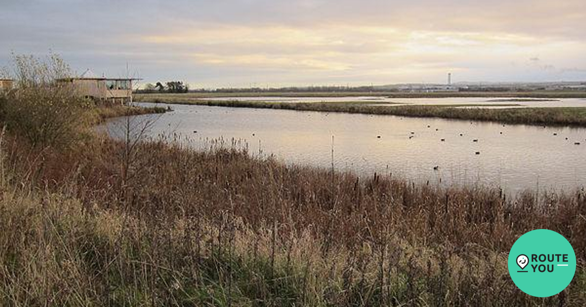 Burton Mere Wetlands - POI | RouteYou