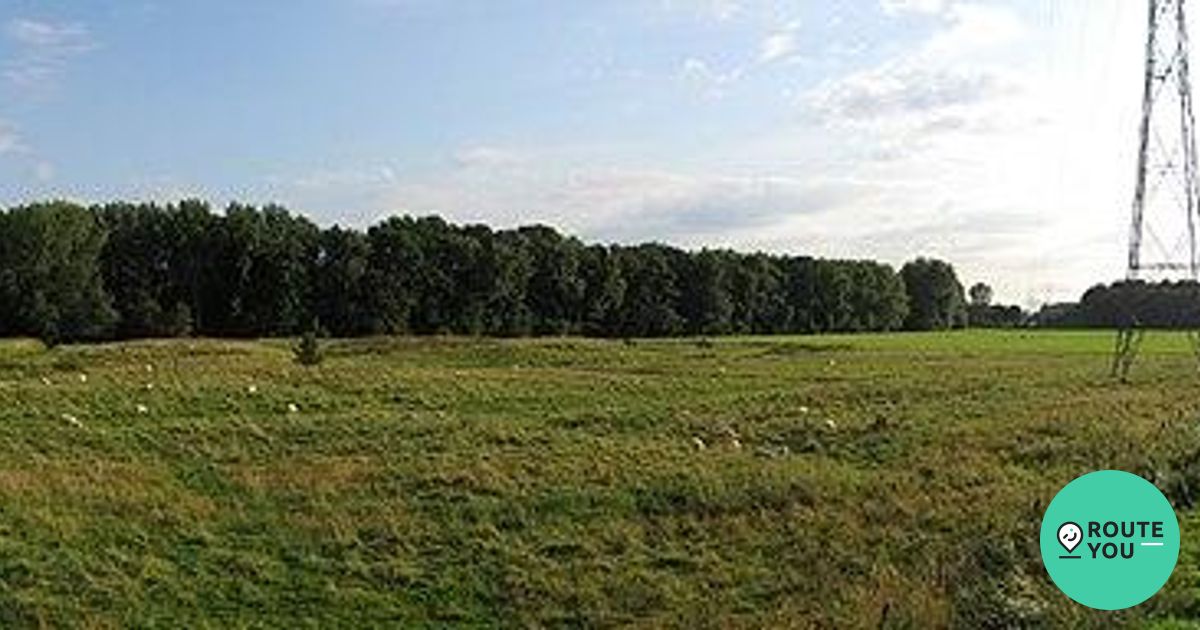 Kasteel Selwerd - Kasteel | RouteYou