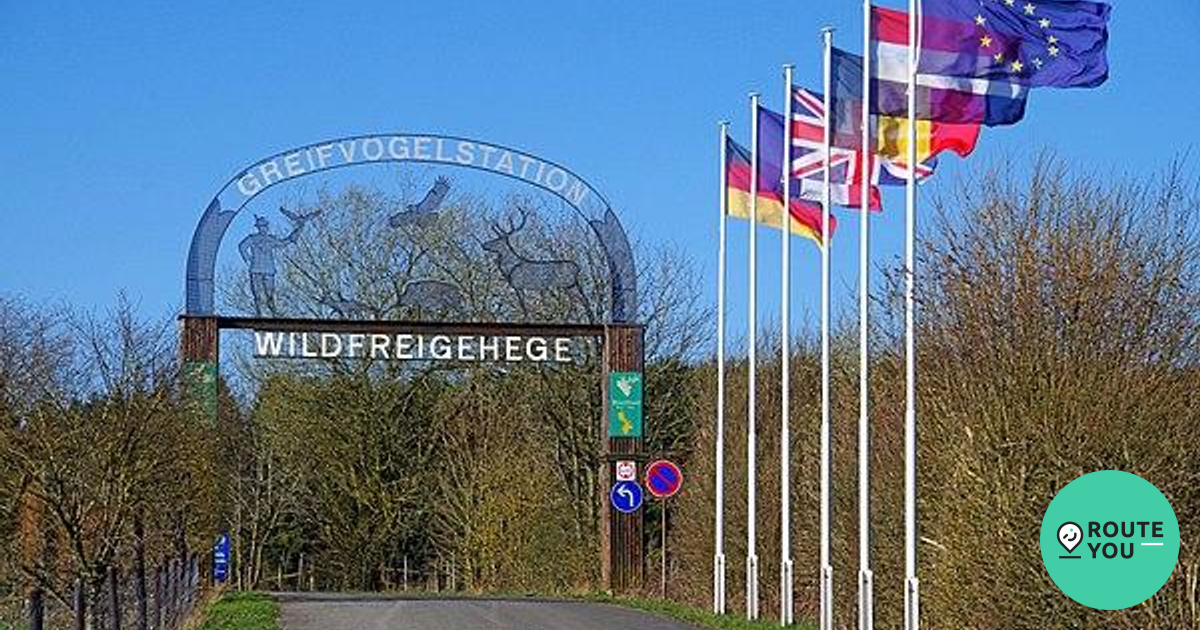 Wildgehege Hellenthal - Nationalpark | RouteYou