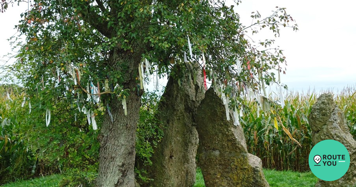 Menhirs d' Oppagne (Durbuy) - Markeerpunt | RouteYou