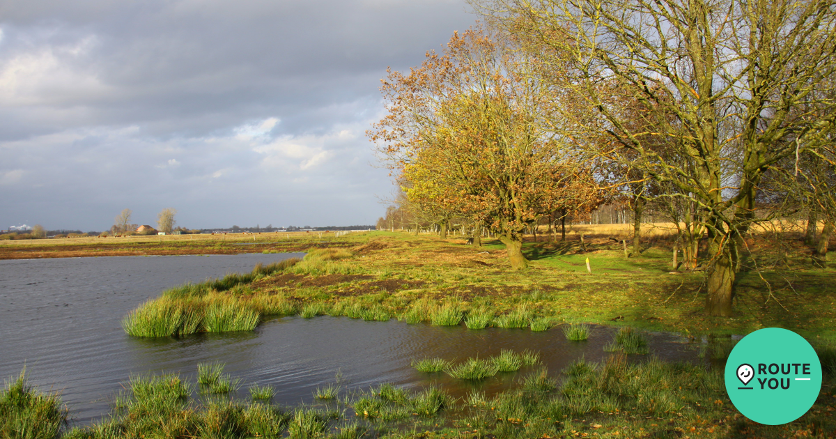 Bargerveen - Natuurgebied | RouteYou