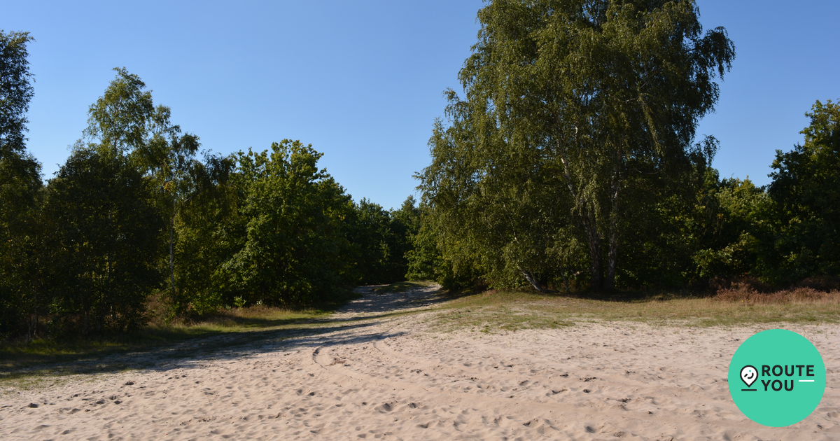 Ruige Heide - Natuurgebied | RouteYou