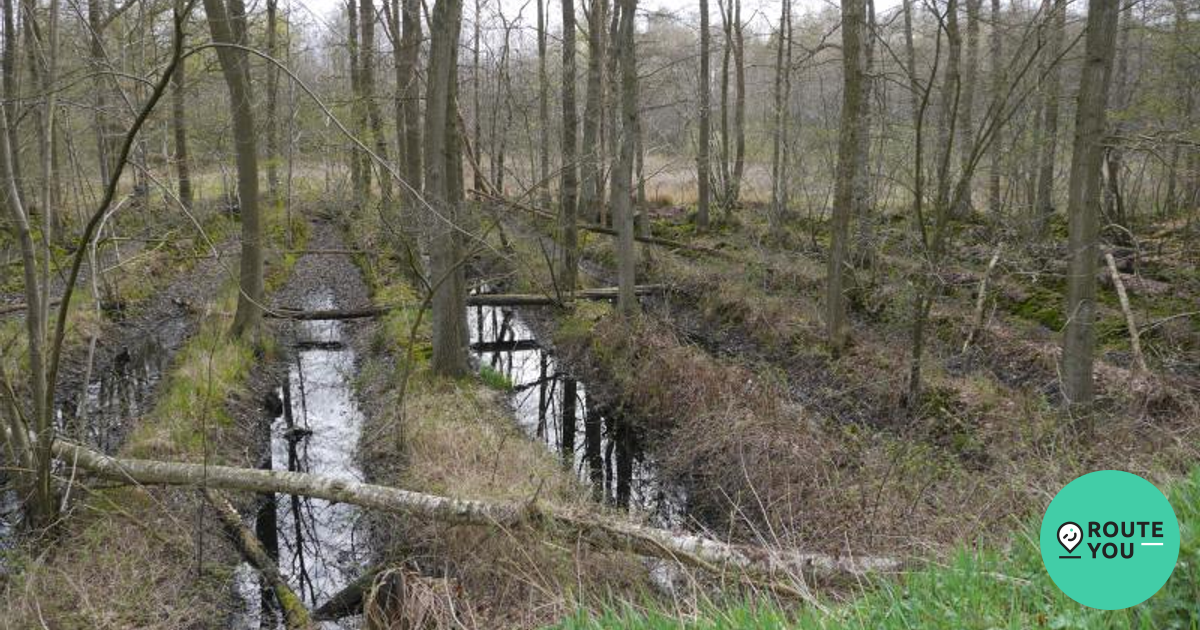 Rabatten - Natuurgebied | RouteYou