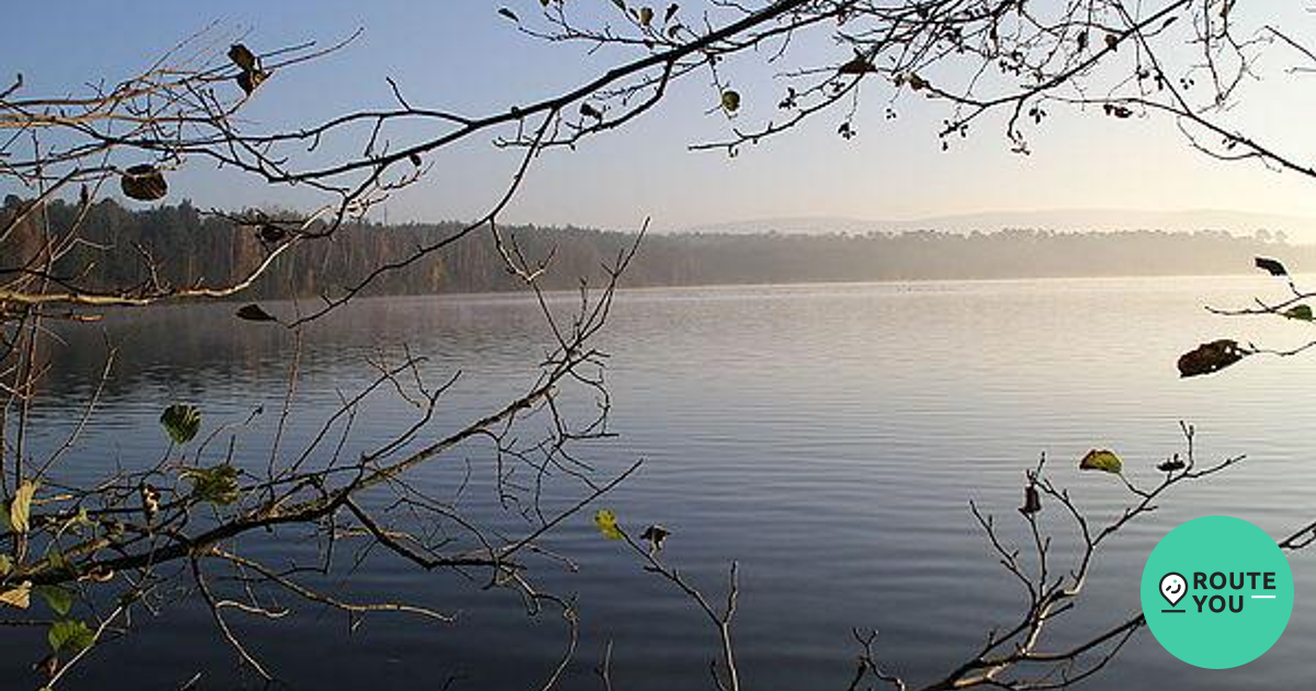Hörsteiner See - See | RouteYou