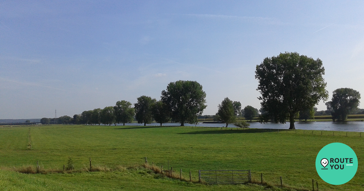 Maas - Rivier | RouteYou