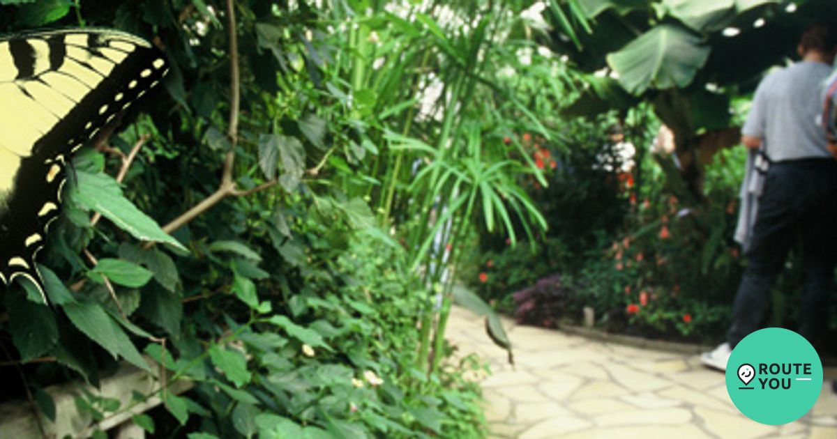 De Vlindertuin - Toeristische attractie | RouteYou