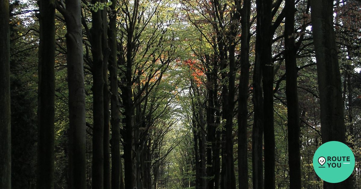 Brasschaat - Gemeente | RouteYou