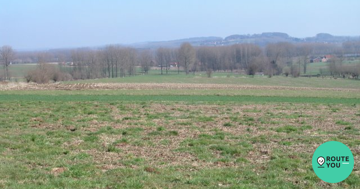 Bosberg en Congoberg - Heuvel | RouteYou