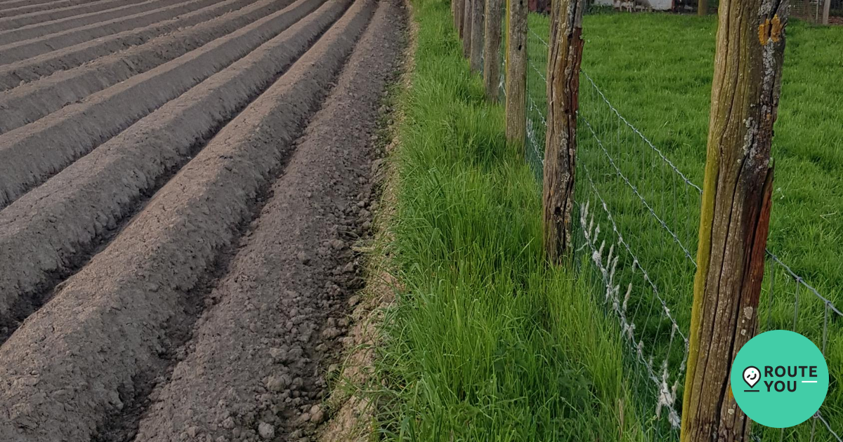 Op deze perceelsgrens ligt best de TapppersveldVW - POI | RouteYou