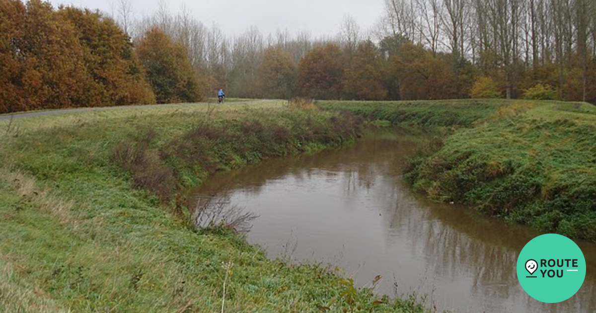 Demer nabij Hellicht (Rotselaar) - Rivier | RouteYou