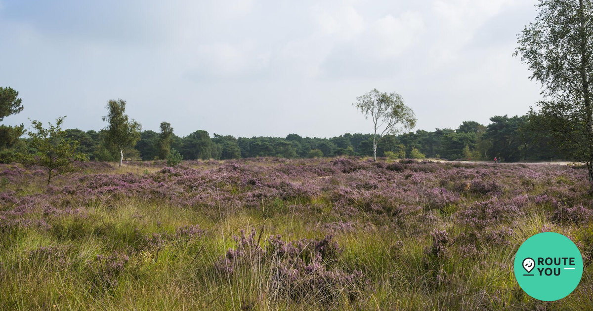 Natuurgebied Den Haert - Natuurgebied | RouteYou
