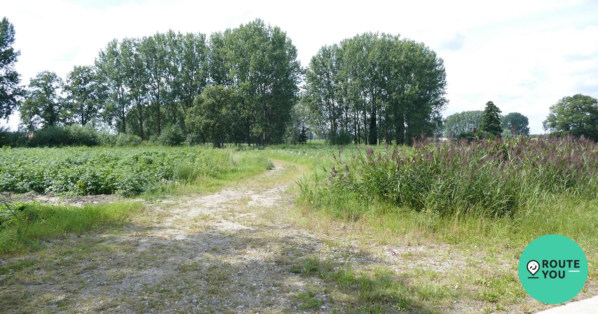 wandelweg en tweesporenweg - Weg | RouteYou