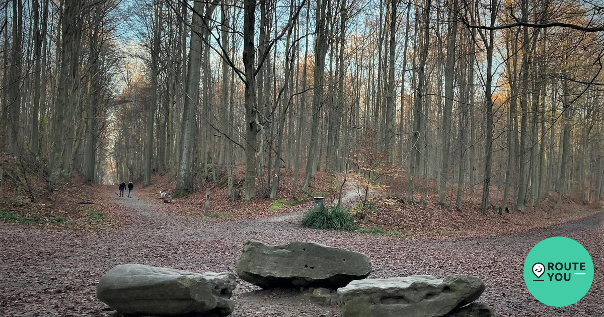 De zevenster - Landschapselement | RouteYou