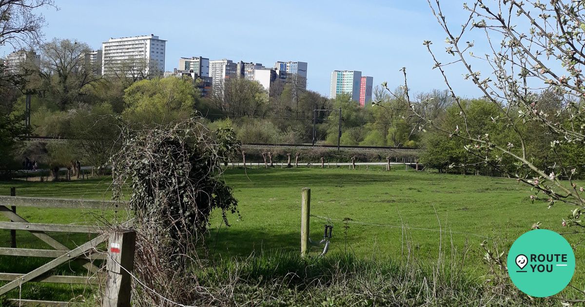 Koning Boudewijnpark - Stadspark | RouteYou