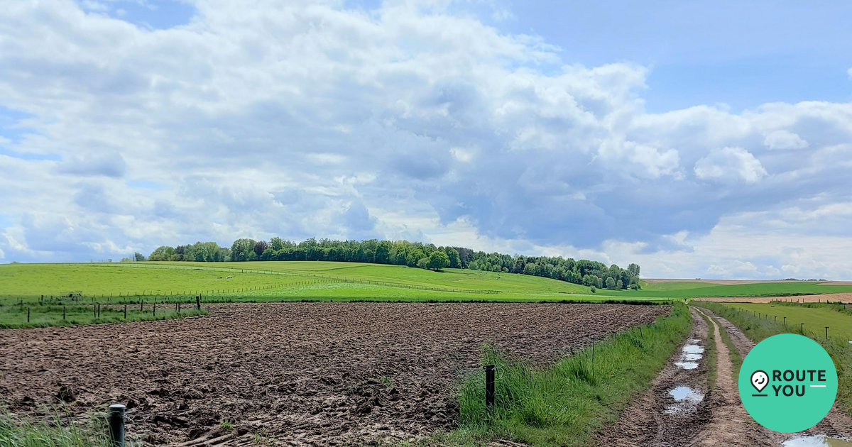 Vergezicht bij knooppunt 205 - POI | RouteYou