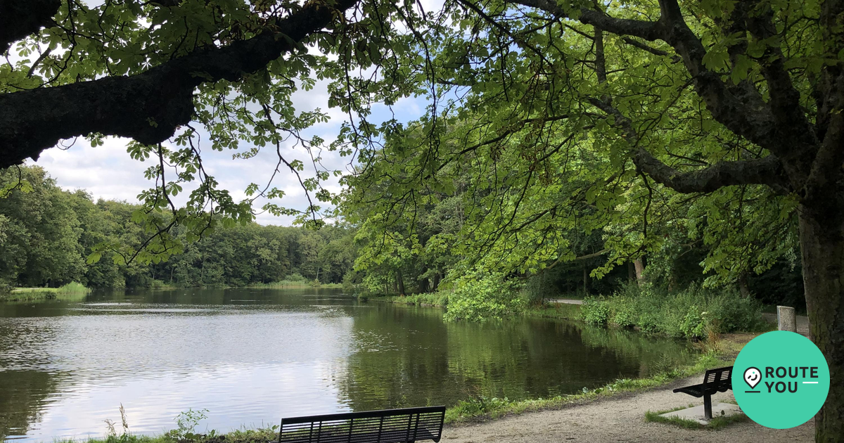 Haagse Bos - Bos | RouteYou