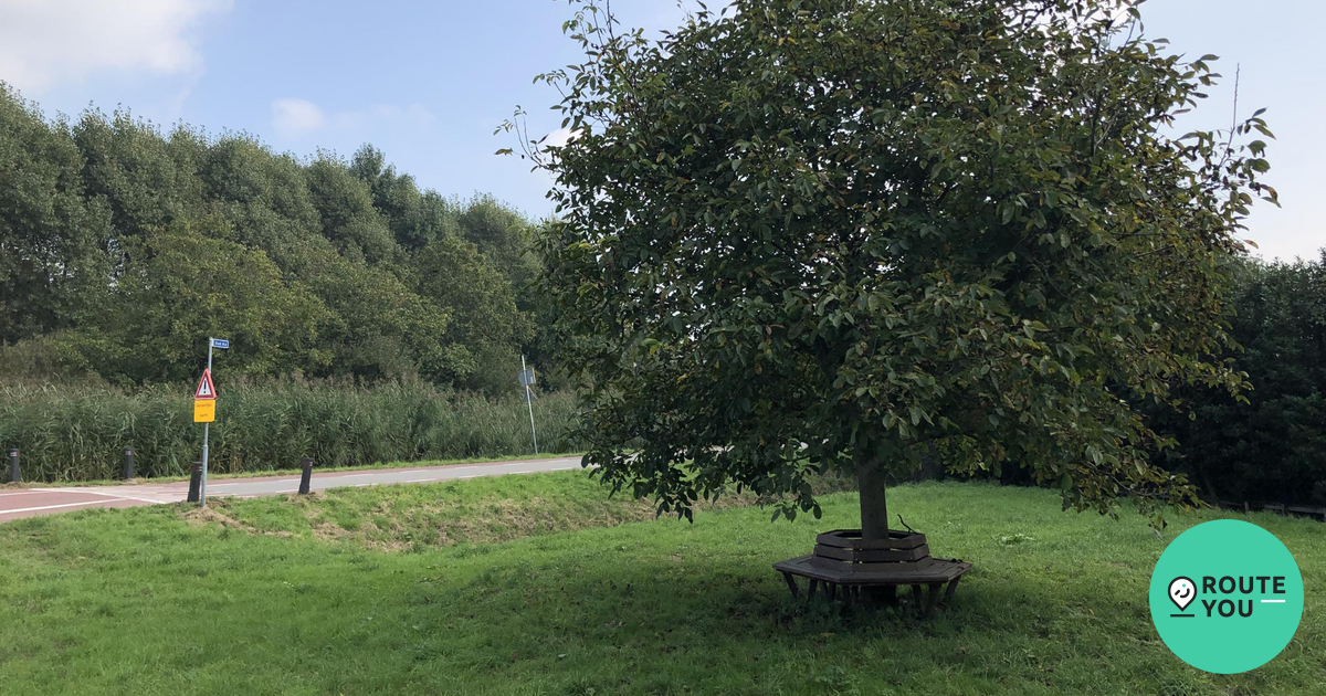 Wandelbankje onder de notenboom - Zitbank | RouteYou
