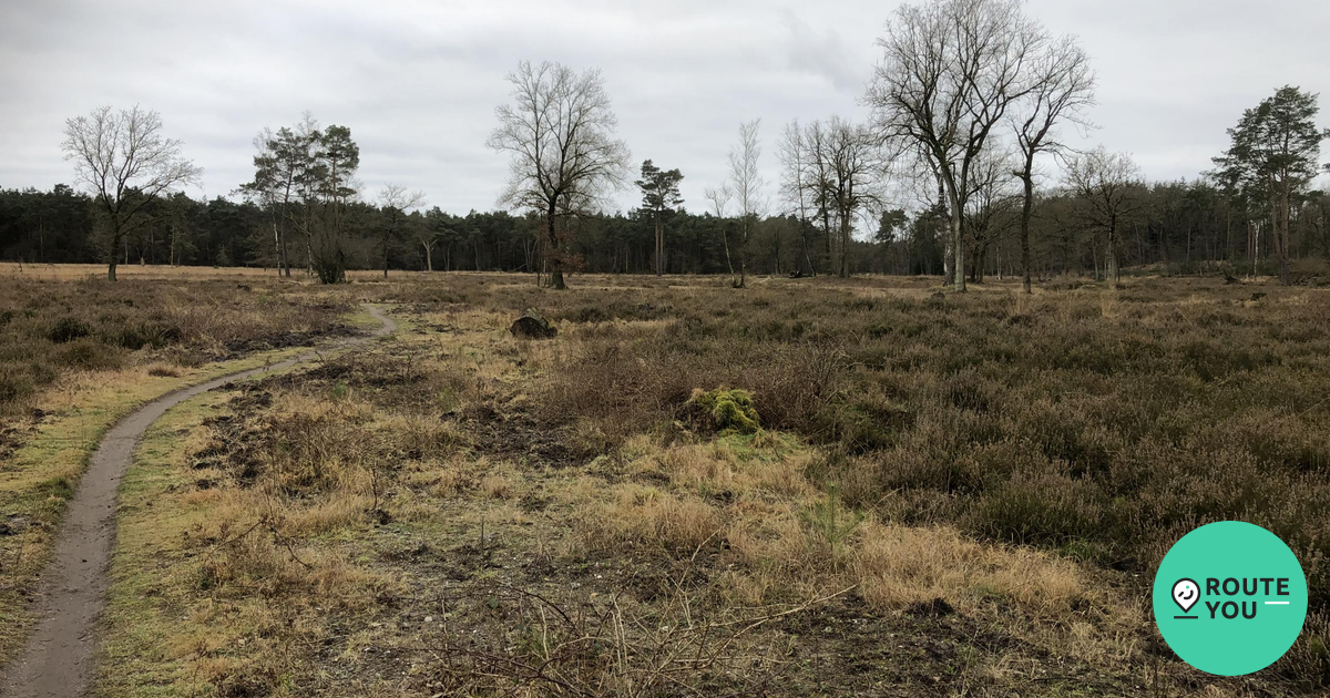 Wandelpad door het natuurgebied "Mosterdveen" - Pad | RouteYou