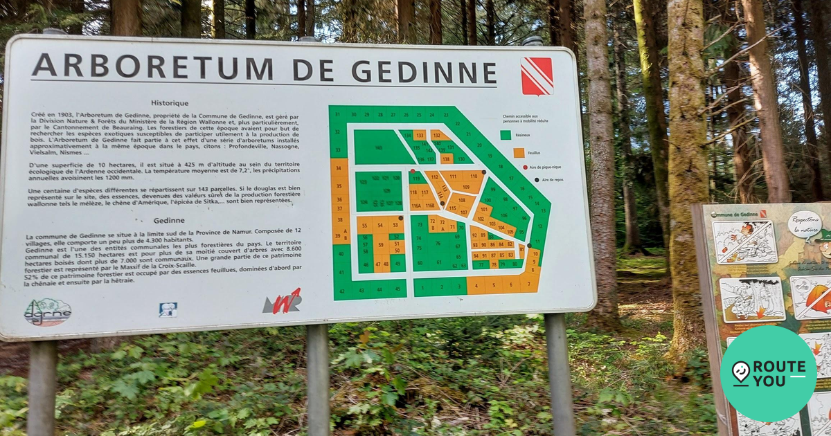 Arboretum de Gedinne - Arboretum | RouteYou
