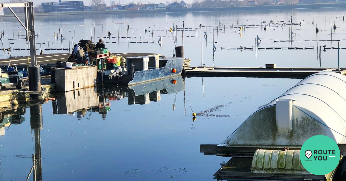 Oesterkwekerij De Oosterput - Oostende - Visvijver | RouteYou