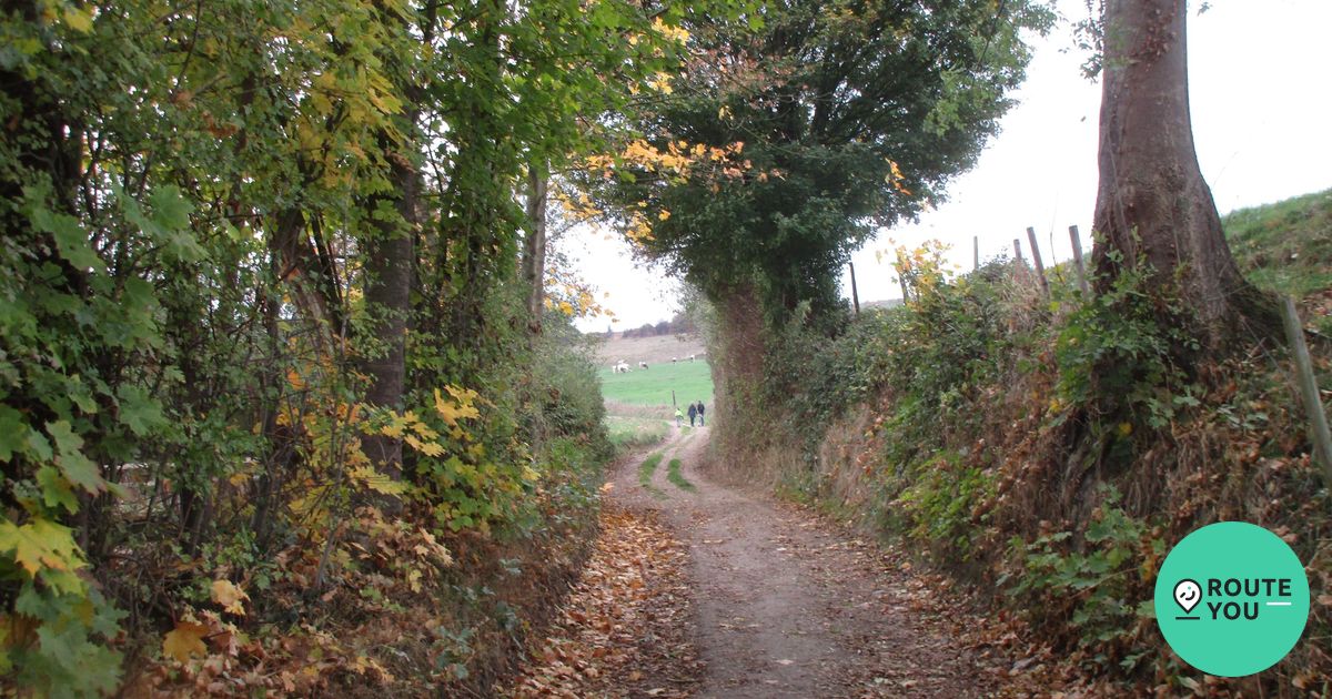 Biesweg - Helling | RouteYou