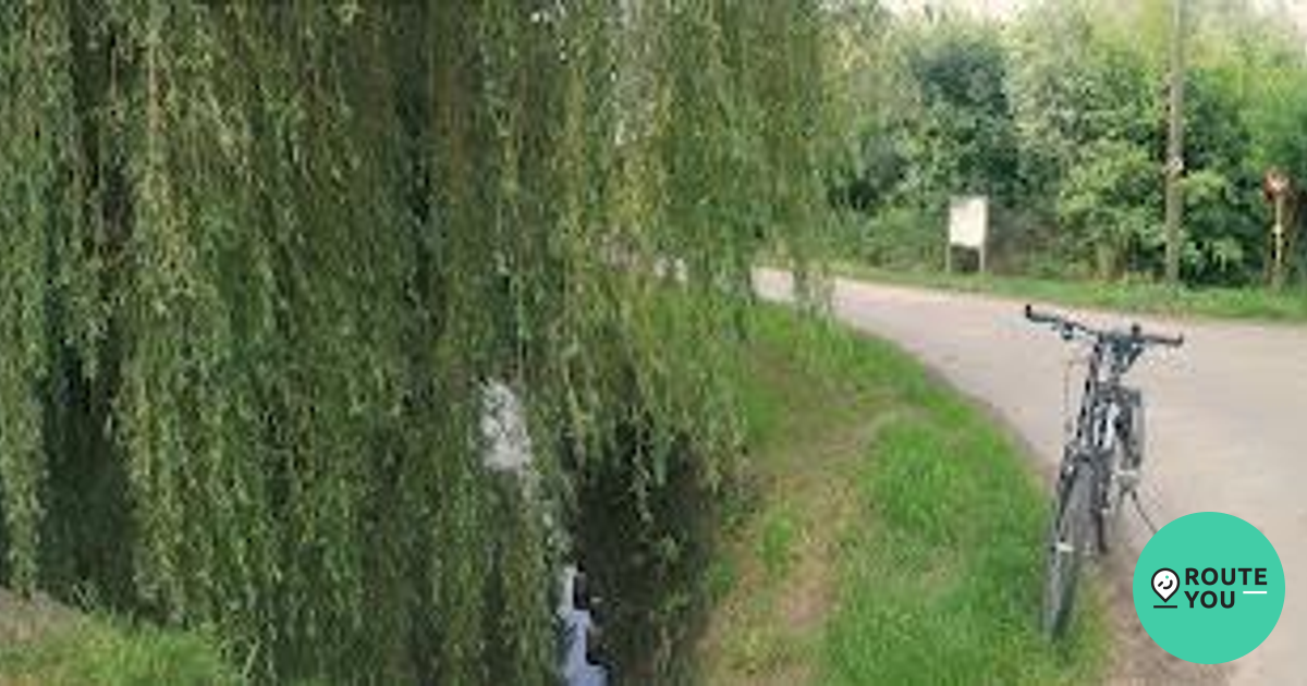 Tangebeekvallei aan de Oude Schapenbaan - Brug | RouteYou