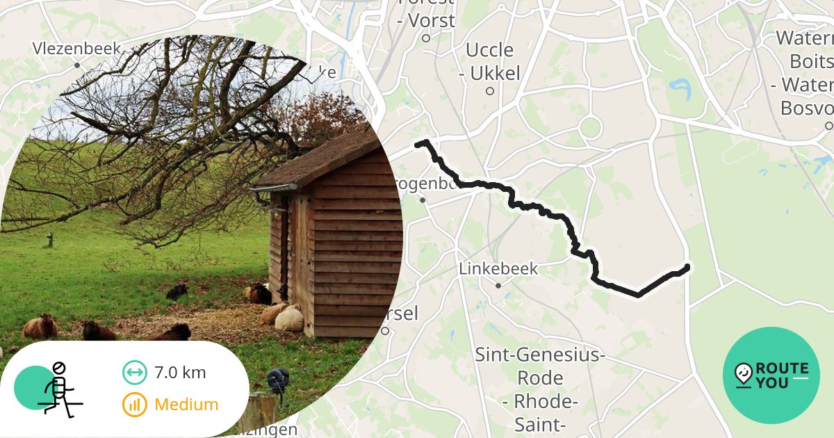 Ukkel - Ukkel, van de Waterloosesteenweg naar de Stalle langs de Groene ...