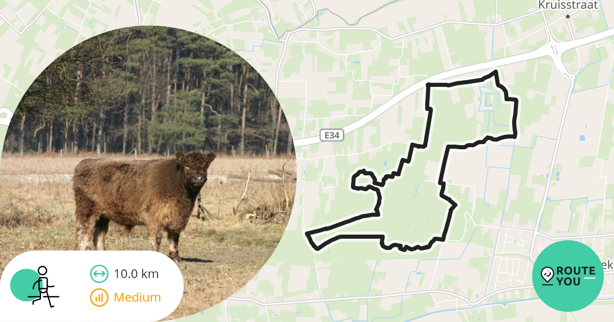 Wandeling Moerbeke Heidebos 10km - Wandelroute | RouteYou