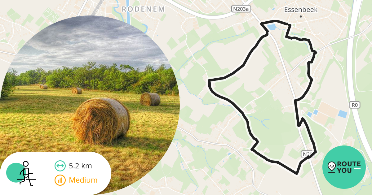 Halle Krekels 5km 2403 Wandelroute RouteYou halle-krekels-5km-2403-wandelroute-routeyou