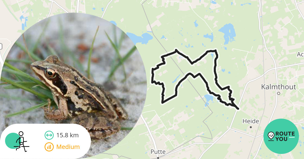 Kalmthout (Kalmthoutse heide) - 15,8 km - Wandelroute | RouteYou