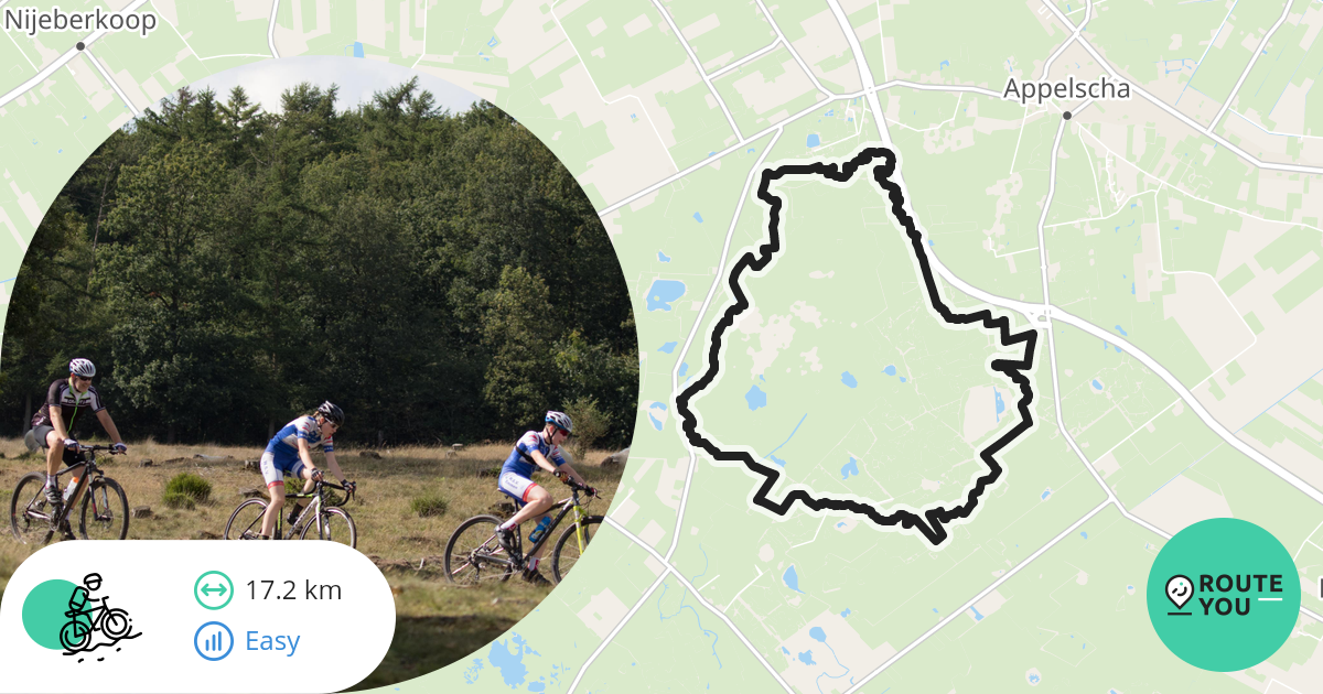MTB 17km blauwe route door de Kale Duinen bij Appelscha - Mountainbikeroute | RouteYou