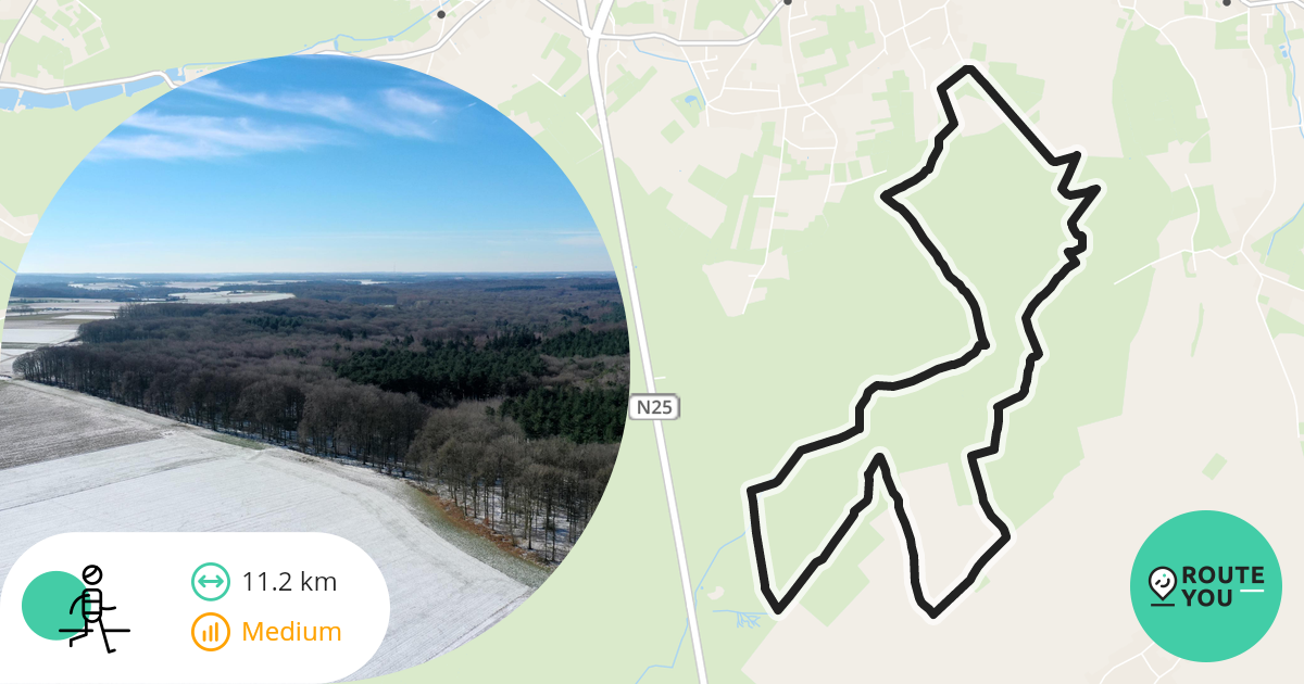 Mollendaalbos - Recreatieve wandelroute | RouteYou