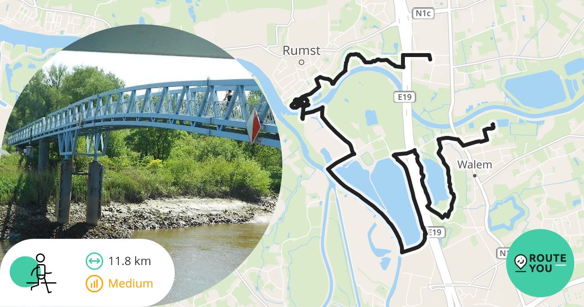slijkvisser - park rumst - zwal 11,7 - Wandelroute | RouteYou