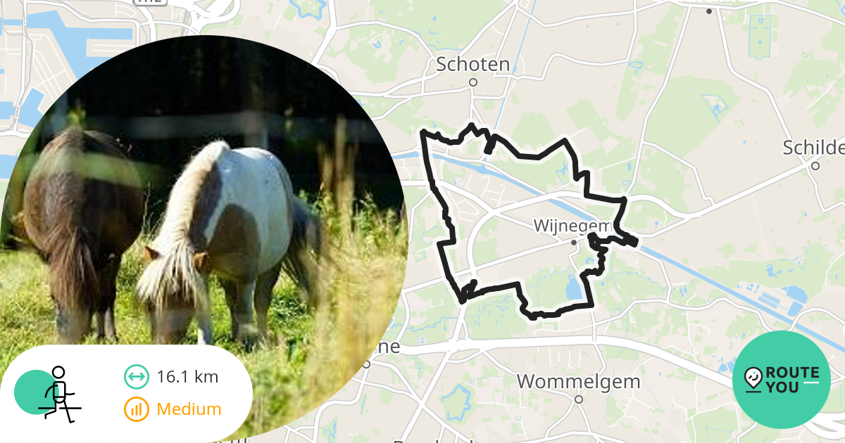 Wandeling Wijnegem Groen Kruis - Wandelroute | RouteYou