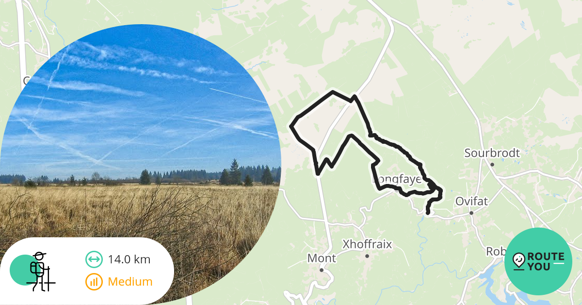 Malmedy - Longfaye wandeling - Hikingroute | RouteYou