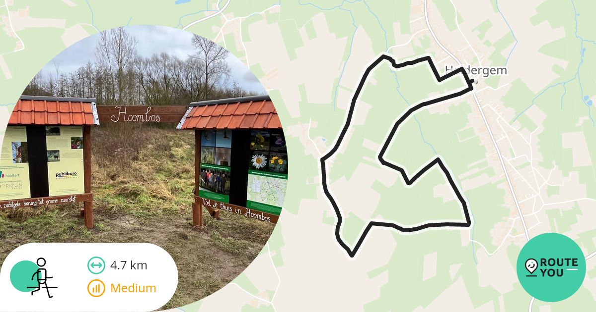 Naar de Bronnen van de Steenbeek - Wandelroute | RouteYou