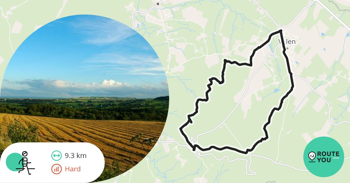 Vijlen rondje Vijlenerbosch - Recreatieve wandelroute | RouteYou