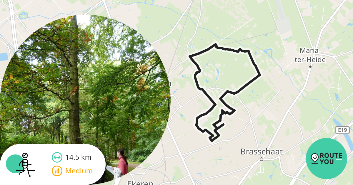 Brasschaat_natuur_bos-&bunkerroute_15Km - Recreatieve wandelroute ...