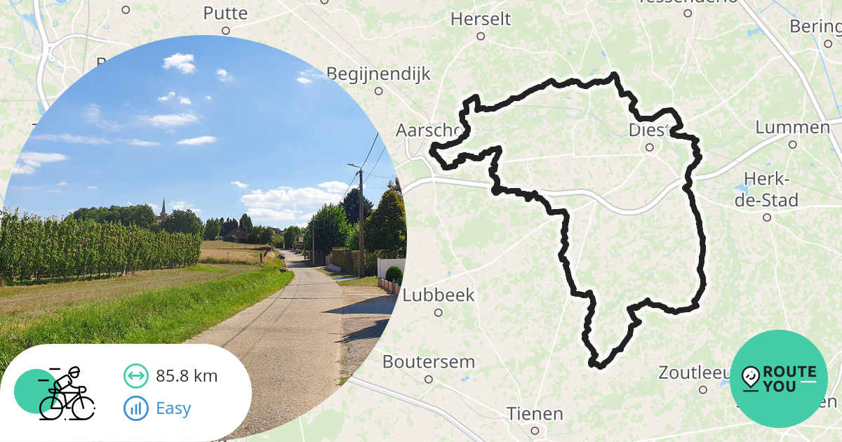 Langdorp - Ransberg - langdorp - Racefietsroute | RouteYou