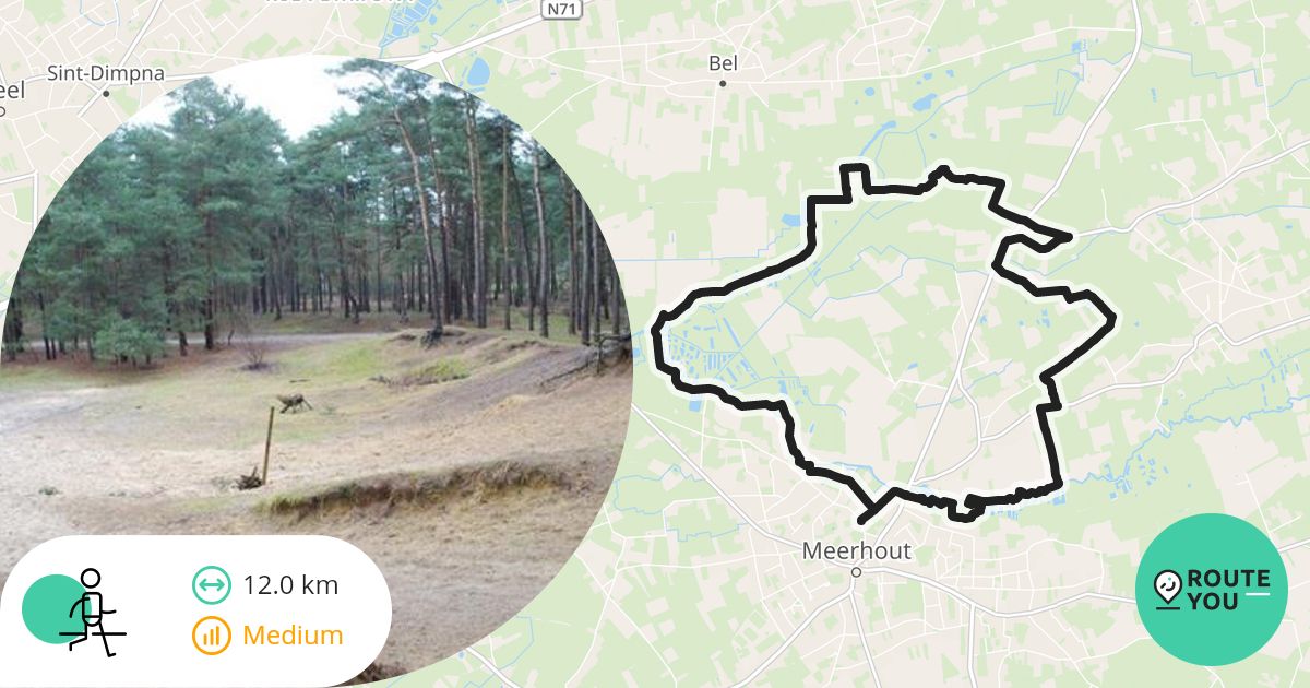 Meerhout langs de Grote Nete - Wandelroute | RouteYou