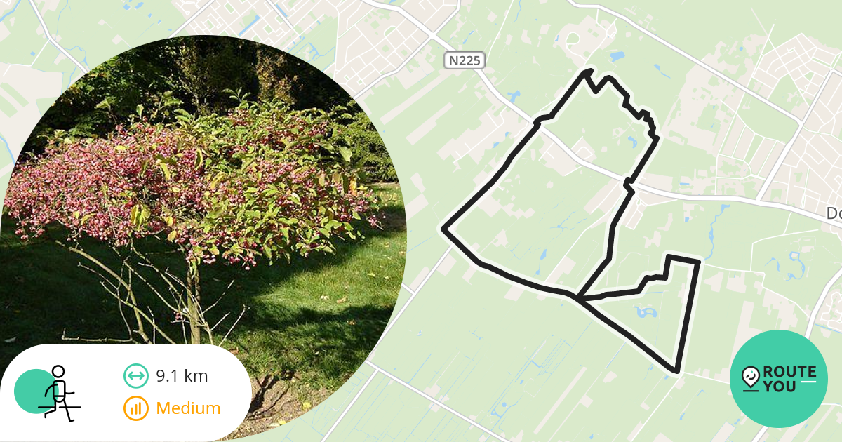 Doorn - Wandelroute | RouteYou